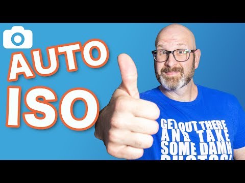 Auto ISO, What Is It And How To Use It