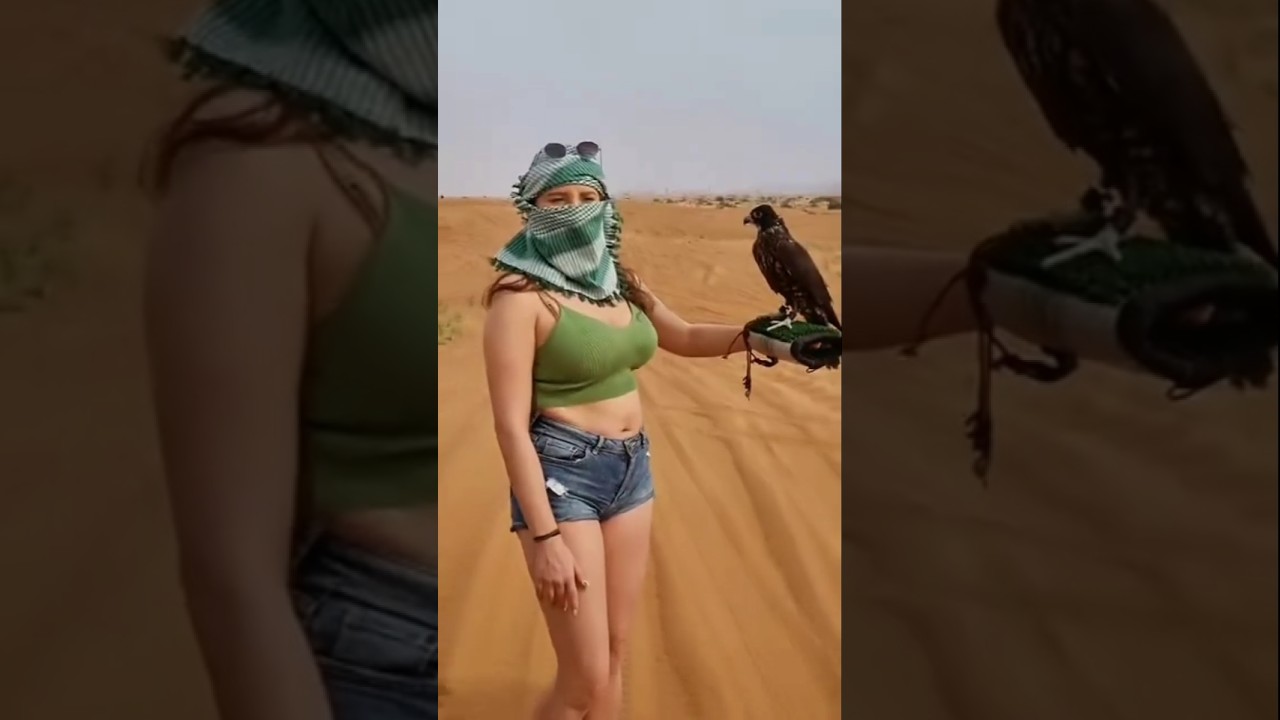 Dubai eagles  Royal symbol 🦅 #shorts