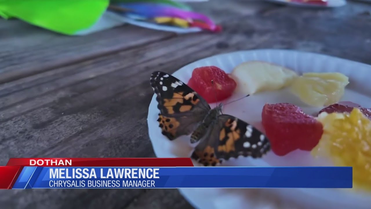 Chrysalis Home for Girls holds 9th annual fundraiser