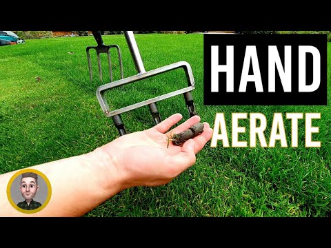 3 Lawn Aeration Tools and When to Use (Solid and Hollow Tine)
