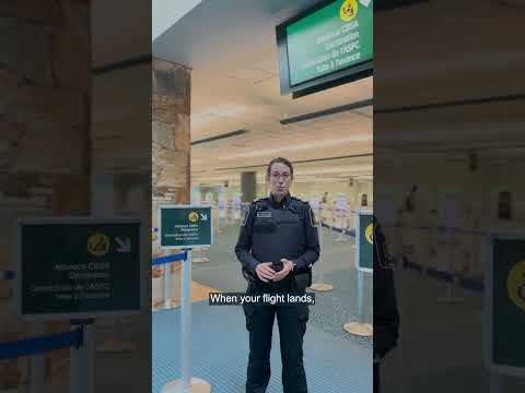 Advance Declaration: Save time at the airport