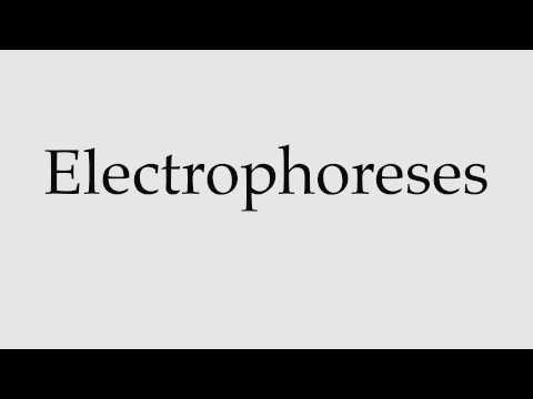 How to Pronounce Electrophoreses
