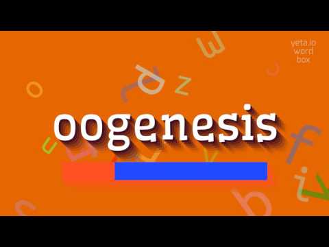 OOGENESIS - HOW TO SAY OOGENESIS? #oogenesis