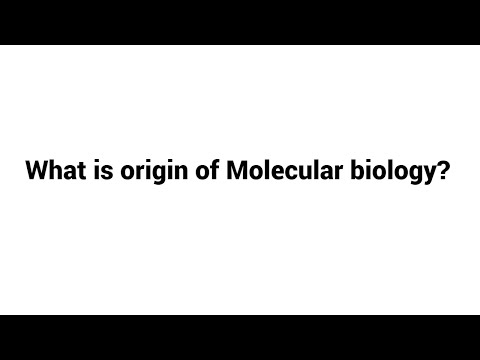What is origin of Molecular biology ?