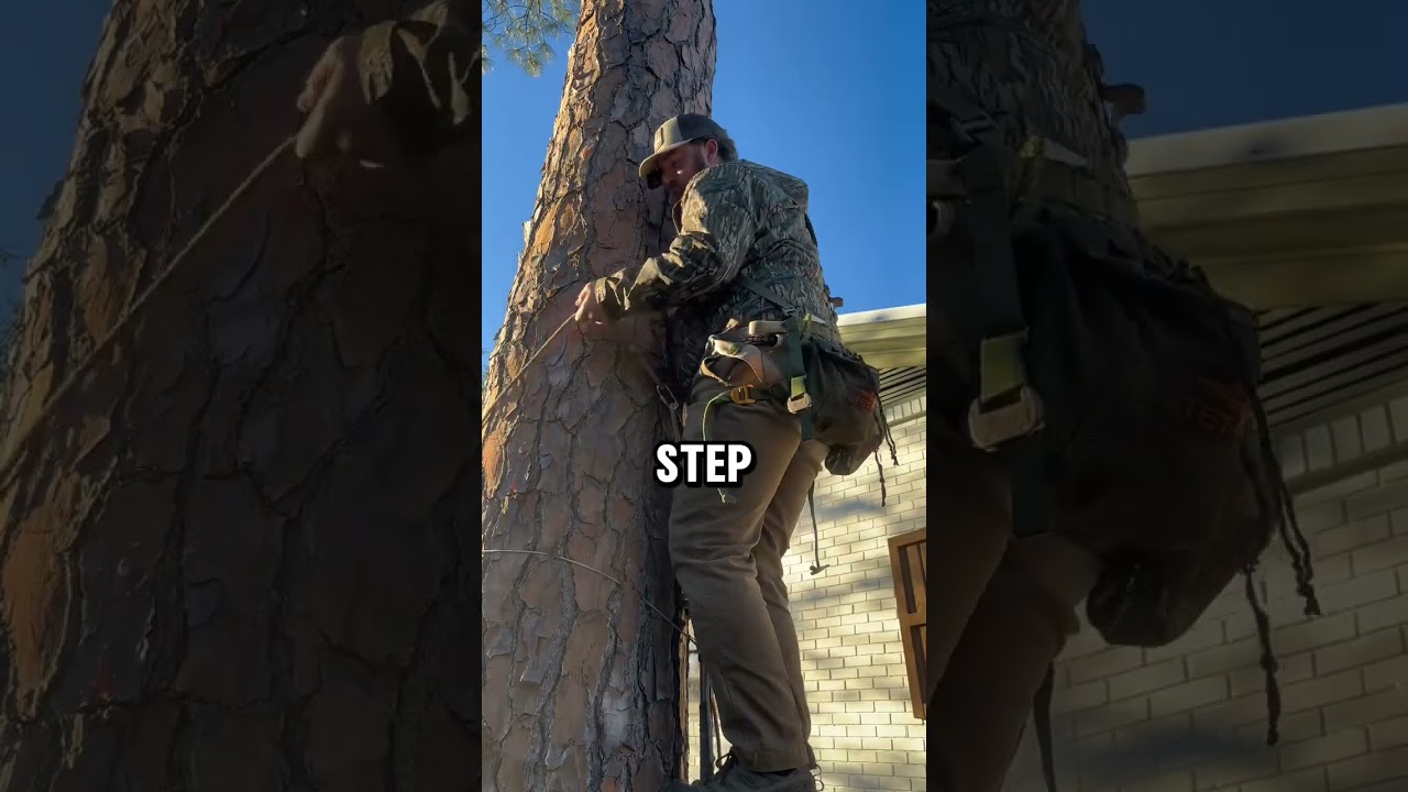 How to climb using the ONE STICK METHOD! #hunting #saddlehunting #deerhunting #tethrd