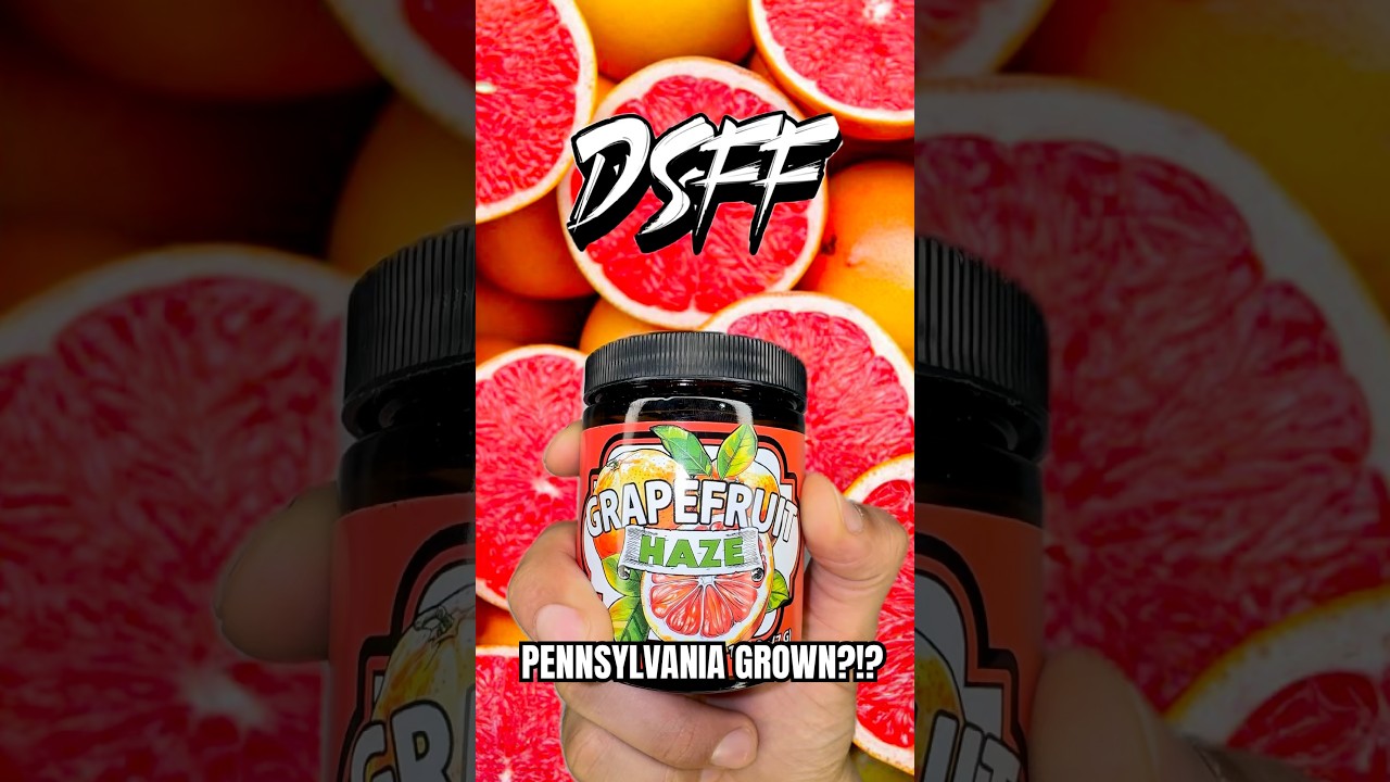 GRAPEFRUIT HAZE BY DSFF?!?