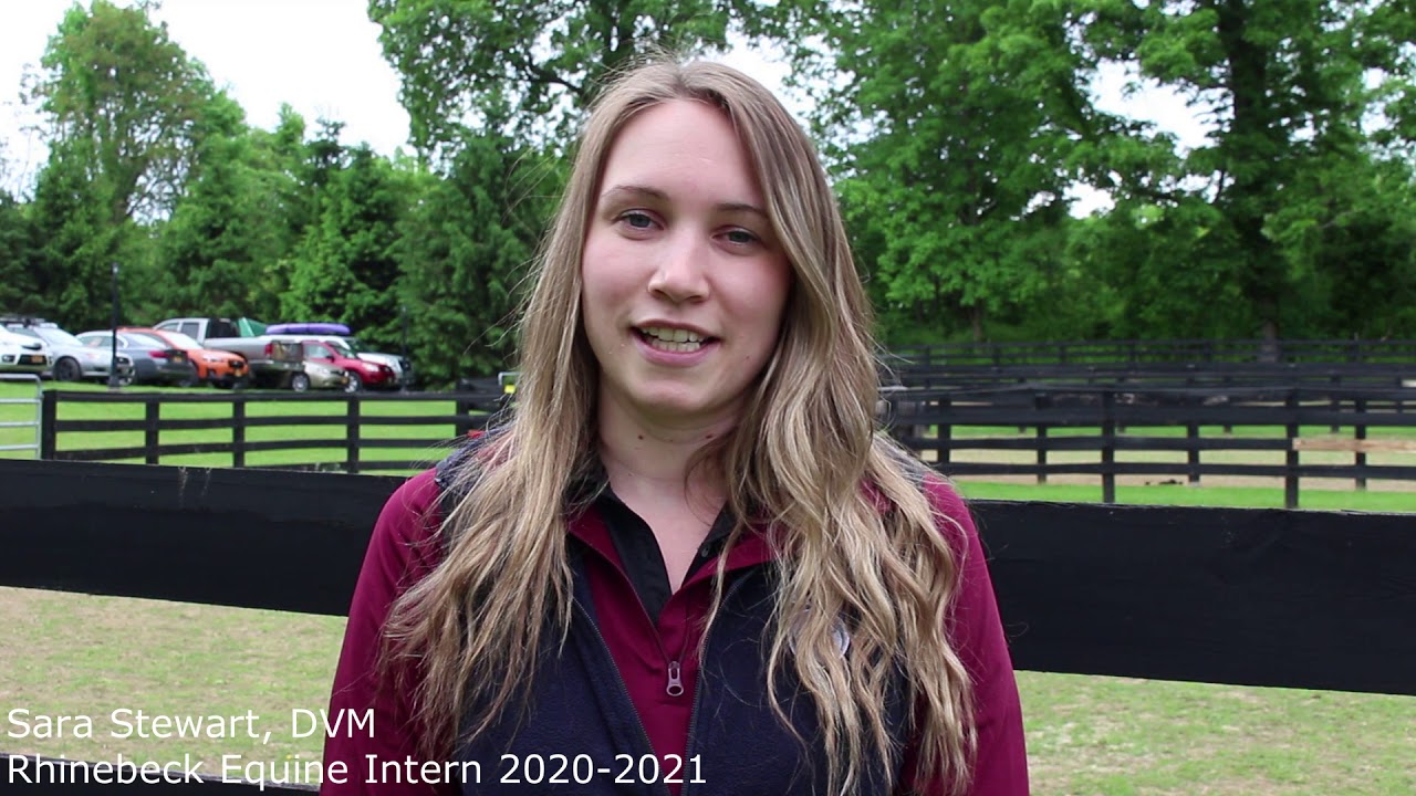 The Internship Program at Rhinebeck Equine.