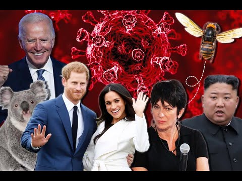 2020 in 1 Minute