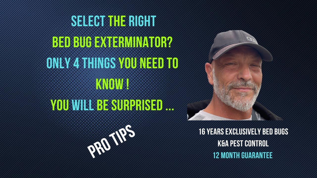 How To Select Bed Bug Exterminator?  The ONLY 4 Things To Know