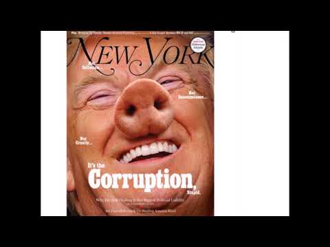 New York Magazine Cover Depicts Trump as Pig