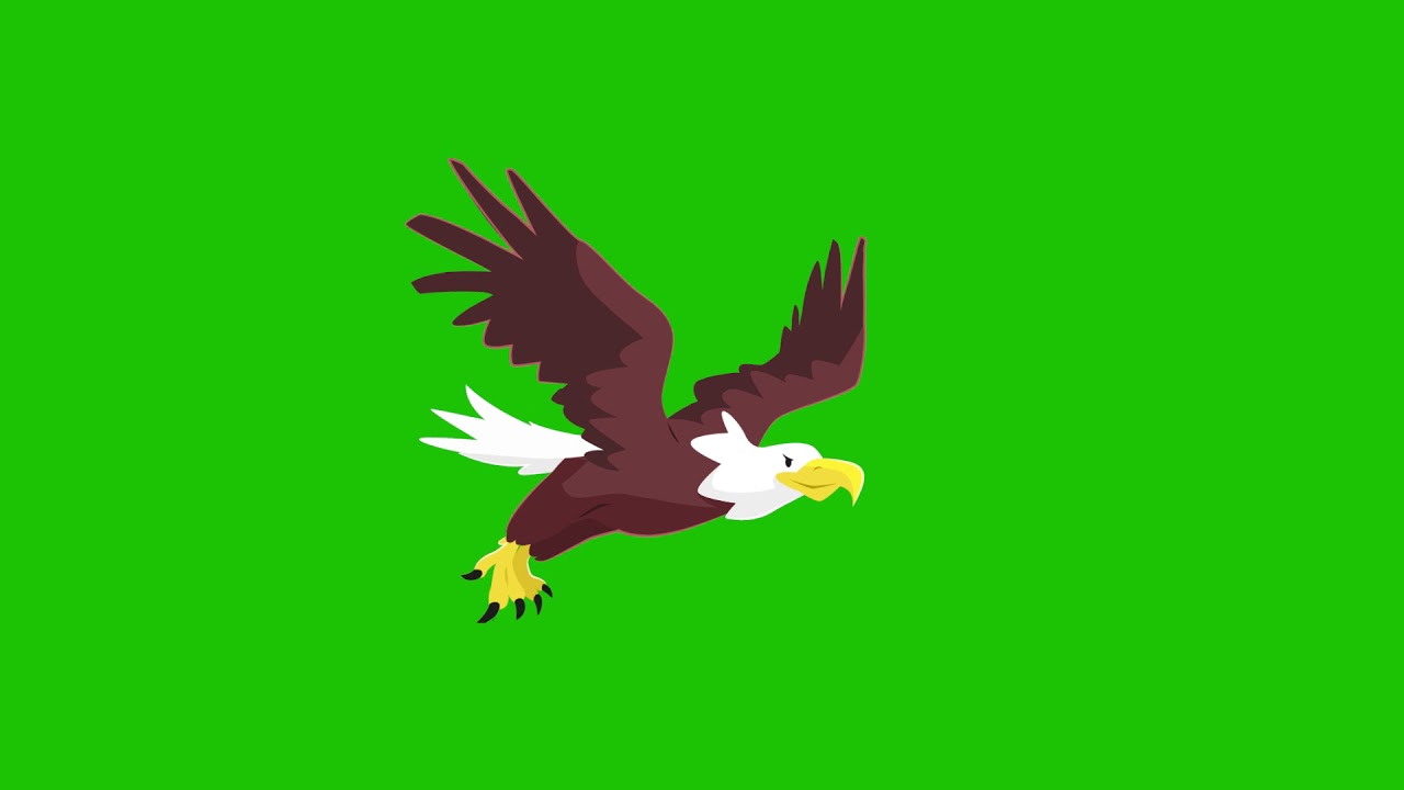 Eagle Cartoon Greenscreen Full HD free download