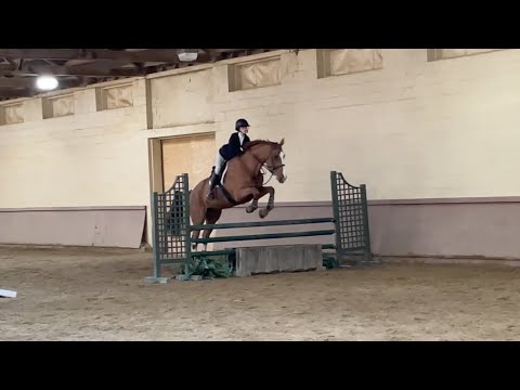18. USEF Dover Hunter Seat Medal Test - Stella Patenaude