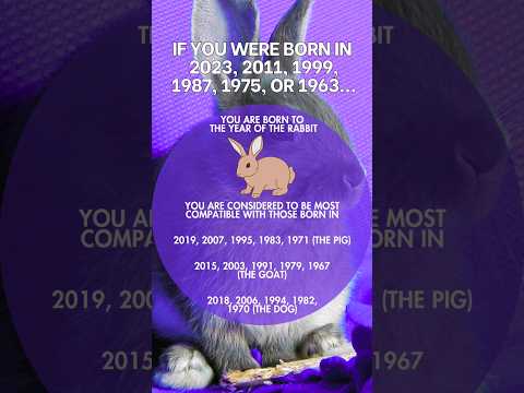 Year Of The Rabbit Chinese Zodiac #numerology #chinesezodiac #astrology #rabbit #lawofattraction