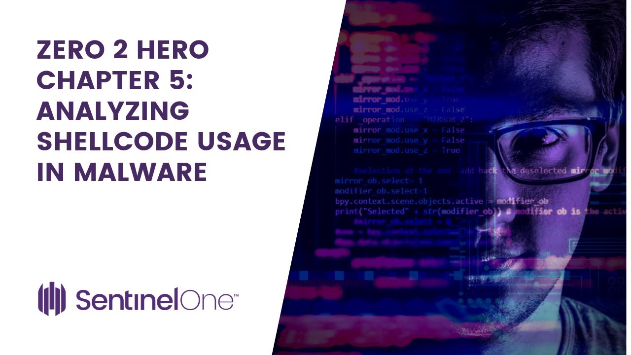 From Zero to Hero, Chapter 5: Analyzing Shellcode Usage in Malware