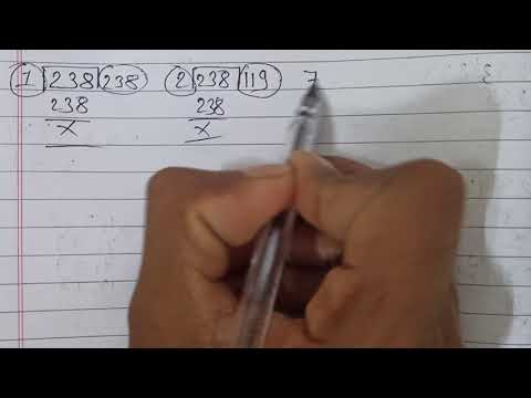 factors of 238
