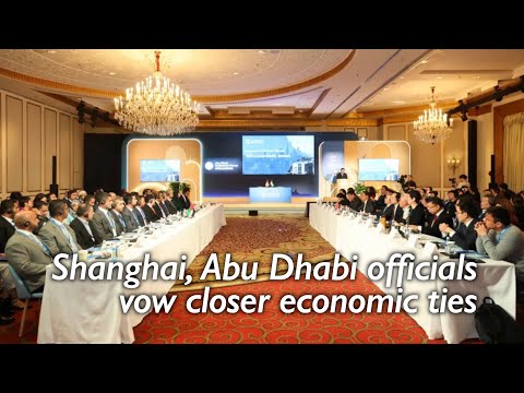 UAE companies eye partnerships in new energy and AI as top Abu Dhabi officials visit Shanghai