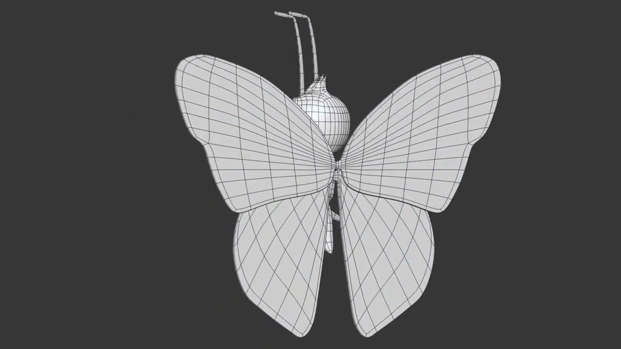 Modeling Reel