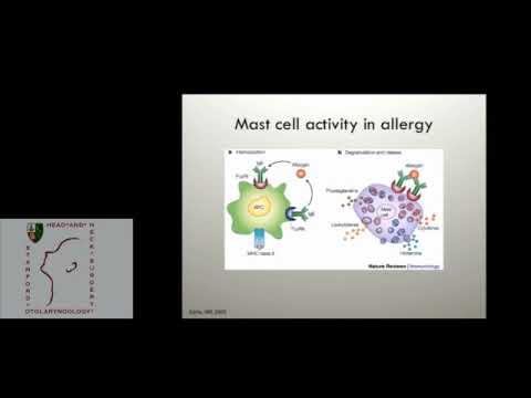 Diagnosis in allergy: How to know when your test is lying to you