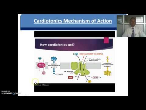 Mechanism of action of carditonics – cardiotonics