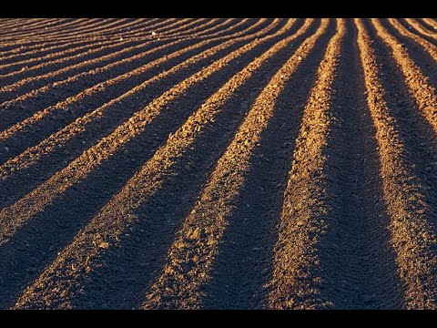 Tilling