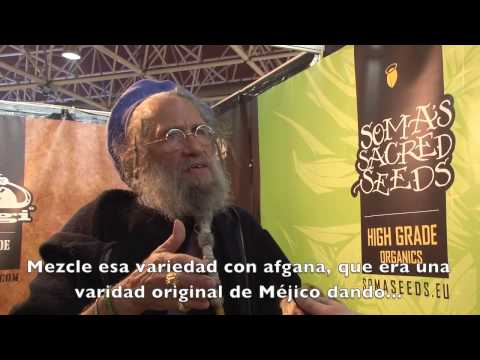 Spannabis 2013 Soma-seeds Interview. How was NEW YORK CITY DIESEL created!!