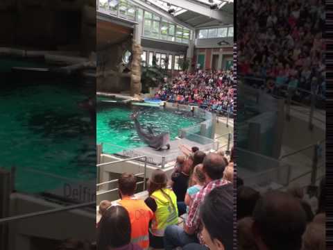 Duisburg Zoo