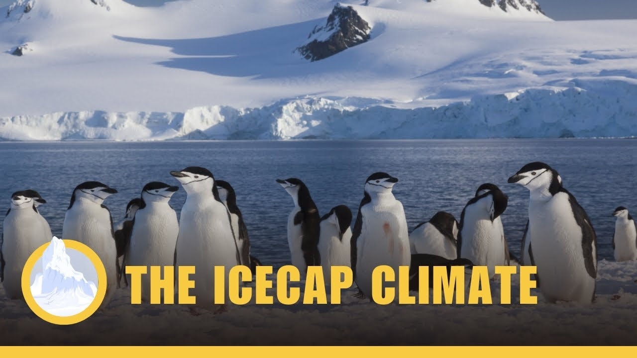 The Icecap Climate -  Climates #1