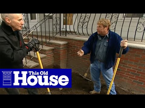 How to Plant a Low-Maintenance Urban Garden | This Old House