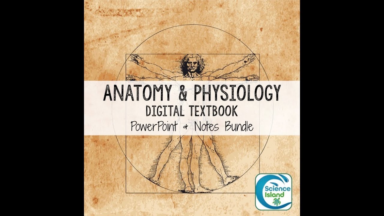 Anatomy and Physiology PowerPoint Bundle
