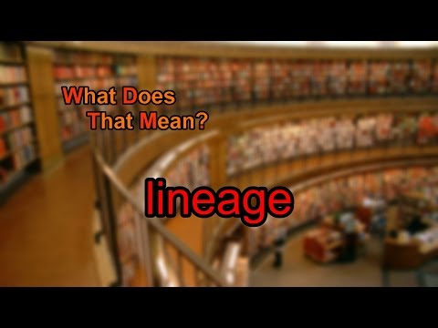 What does lineage mean?