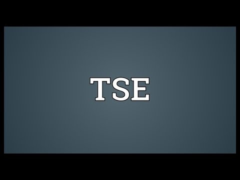 TSE Meaning