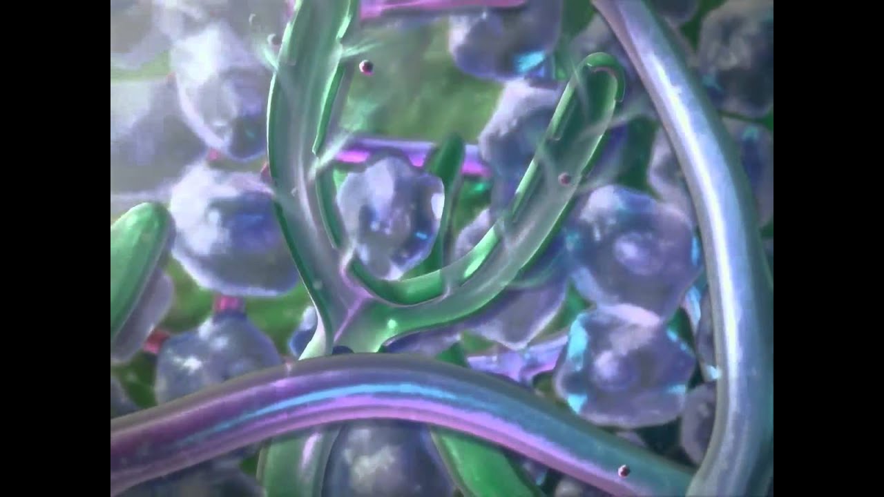 Lymph Clip: Learn@Visible Body