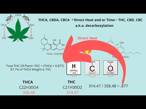 Explanation of how Cannabigerolic Acid (CBGA) Turns Into THC, CBD and CBC