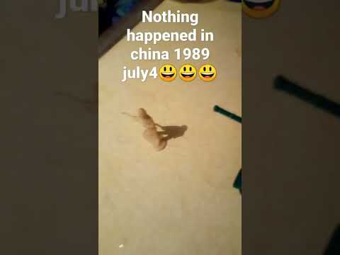 pls don't search Up what happend in china 1989 July 4 tianemen square