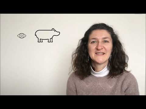 technique de la reformulation