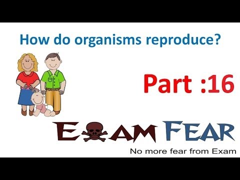 Sexual Reproduction in Humans: Puberty - Reproduction, Science, Class ...