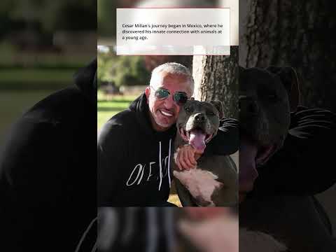 The Man Behind Dog Whisperer- Cesar Millan’s Net Worth, Legacy, Evolution, and More.