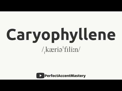 How to Pronounce CARYOPHYLLENE | IPL | Definition | Perfect Accent Mastery