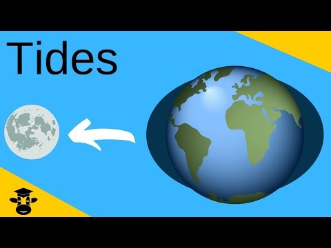 Tides Spring and Neap