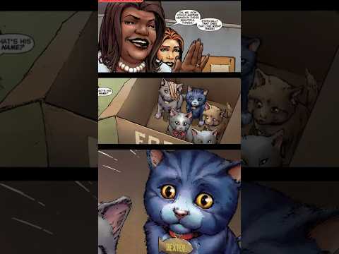 The Saddest Character In DC Comics… (Dex-Starr)