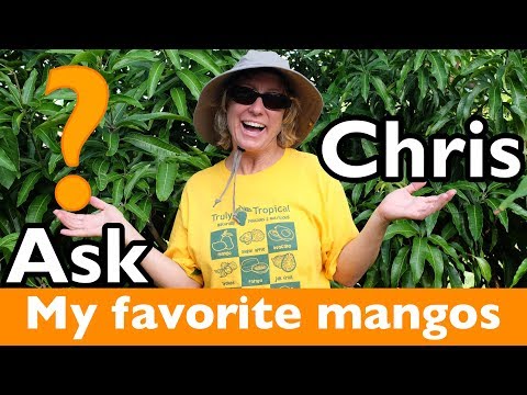 ASK CHRIS- What are your favorite mango varieties?