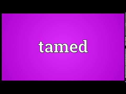 Tamed Meaning | Wordogram