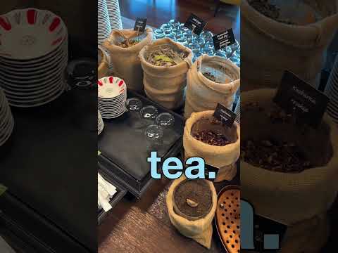 Is Turkish Airlines the best Airport Lounge around ?