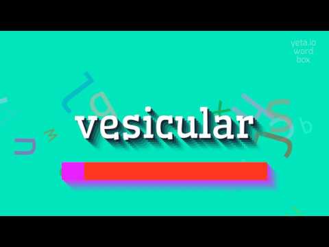 HOW TO SAY VESICULAR? #vesicular