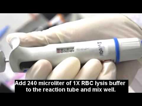 ADAMII CD34 Operation