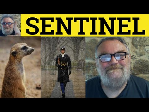 ???? Sentinel Meaning - Sentinel Examples - Sentinel Definition - Literary English - Literary English