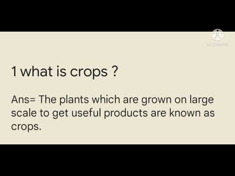what is crops