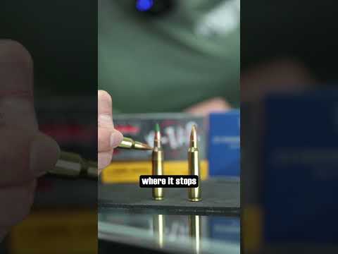 The difference between 5.56 and .223, and what it means for YOU.