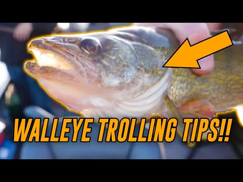 WALLEYE Fishing 101 - HOW TO Troll For Walleye (EASY!)