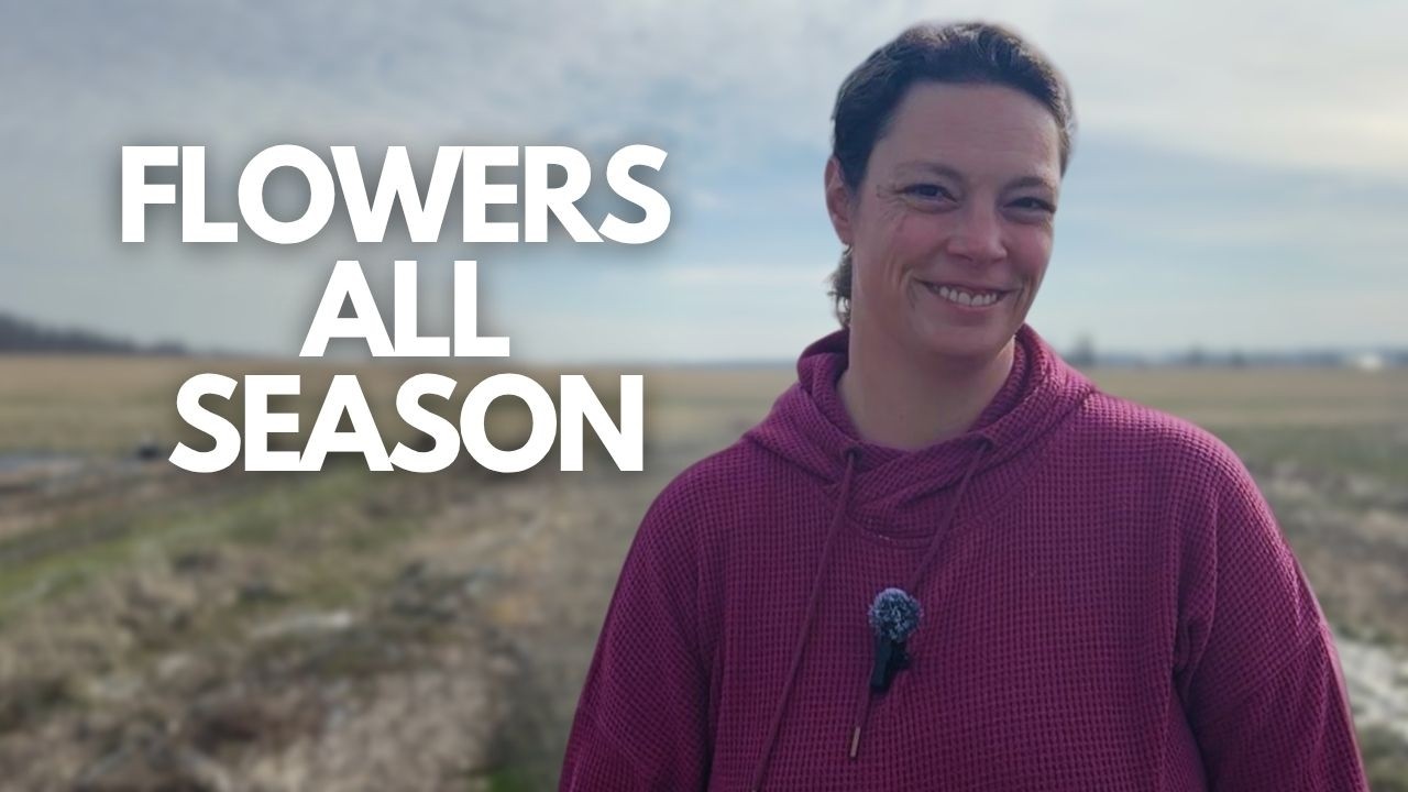 Why You Have No Flowers in Early Summer (And How to Fix It)